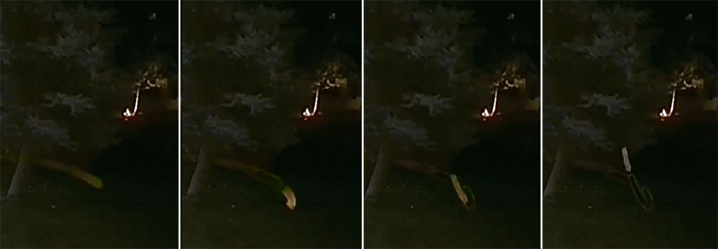 Spirits & Orbs – Evidential Psychic Medium